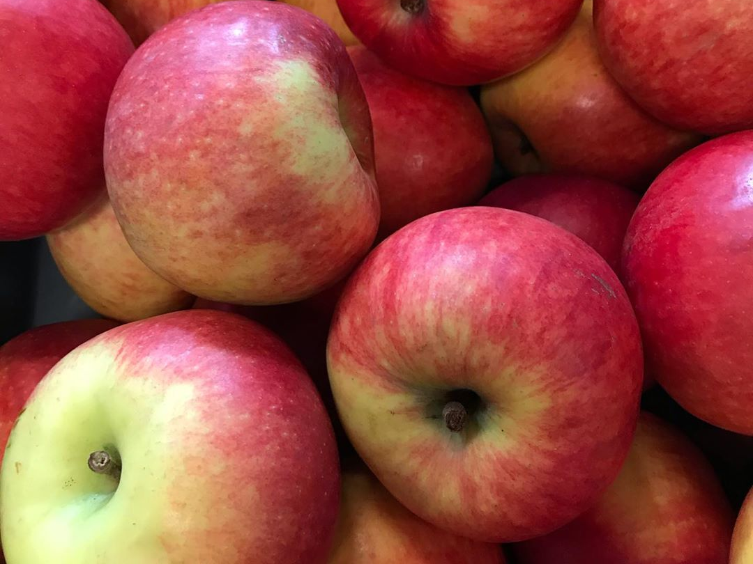 Äpplets Dag 25 september: 10 inlägg om äpplen - Trädgårdstrollet