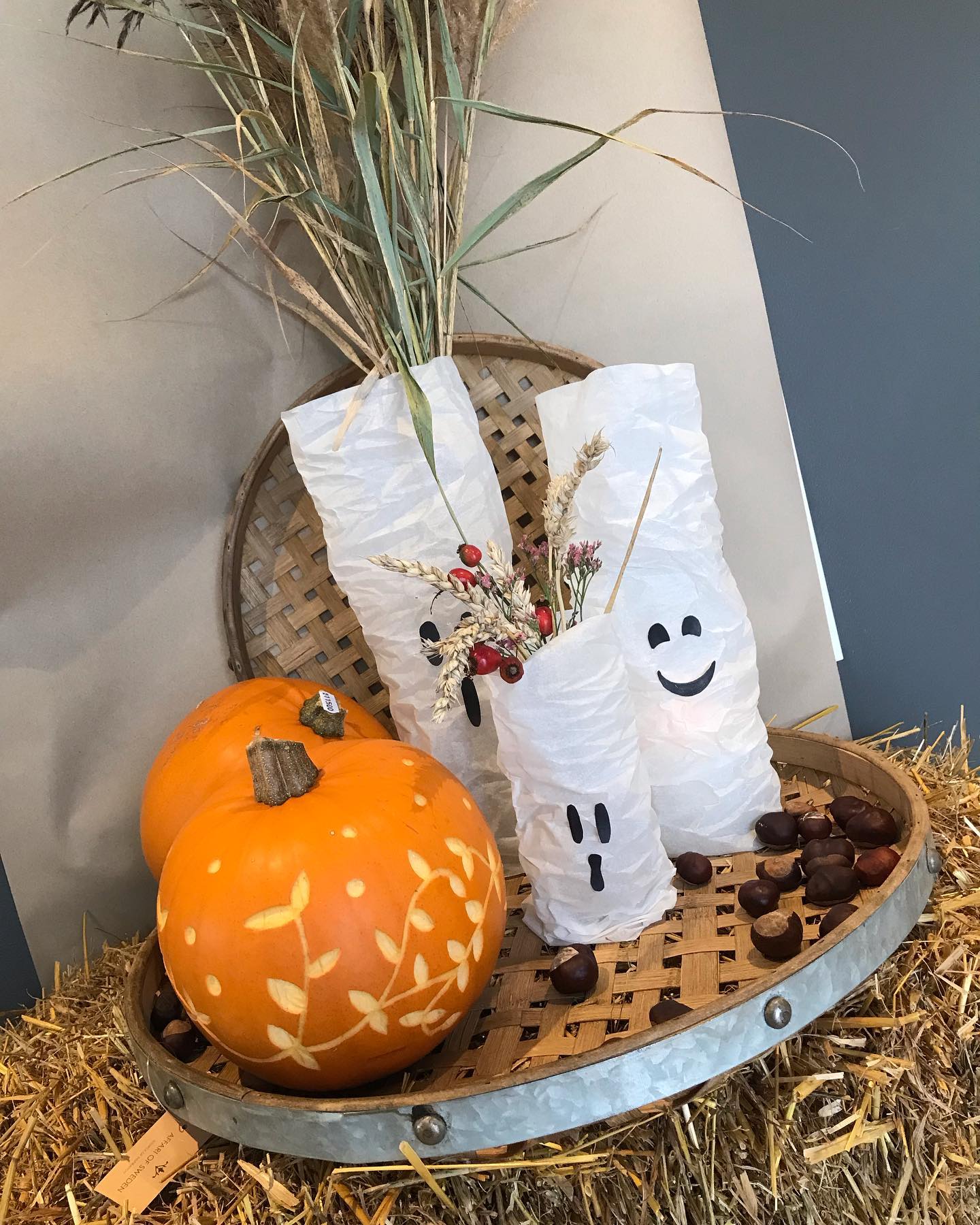 Gör en halloweenpumpa! - Trädgårdstrollet