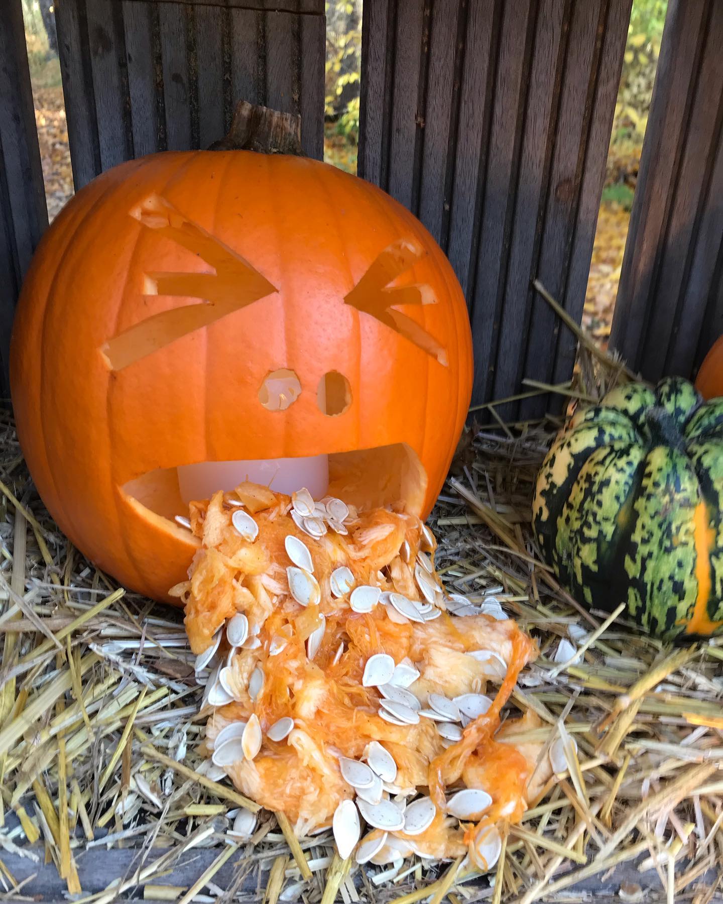 Gör en halloweenpumpa! - Trädgårdstrollet