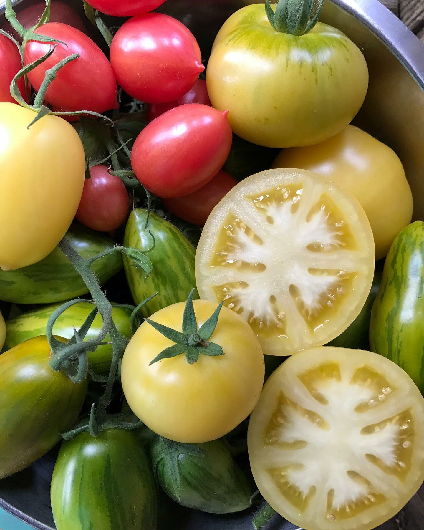 Tomater, plantavstånd och korspollinering - Trädgårdstrollet