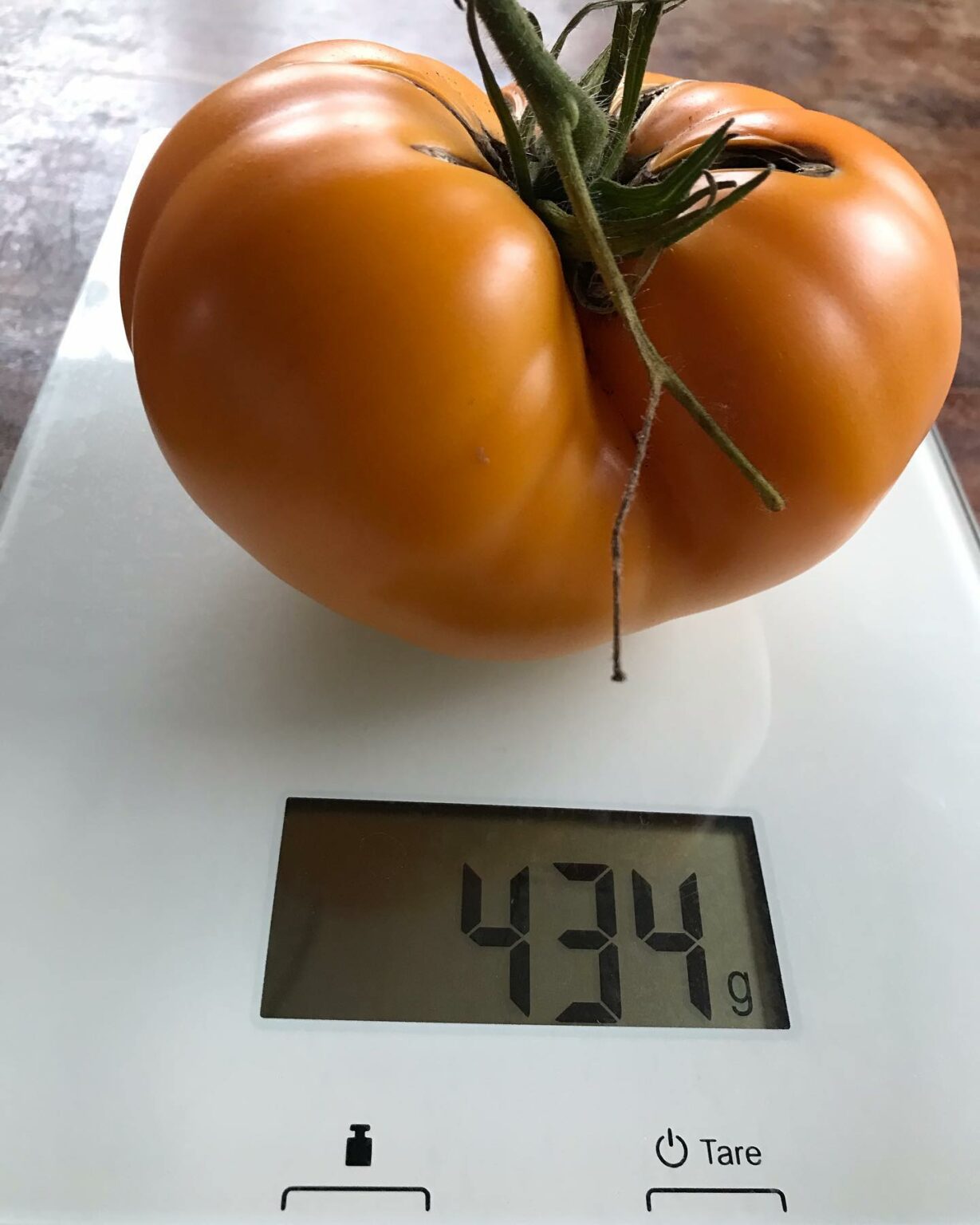 Mumsiga gourmetsorten Hawaiian Pineapple - Trädgårdstrollet