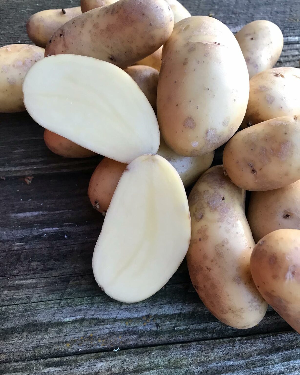 Goda, tidiga potatisen Amandine - Trädgårdstrollet