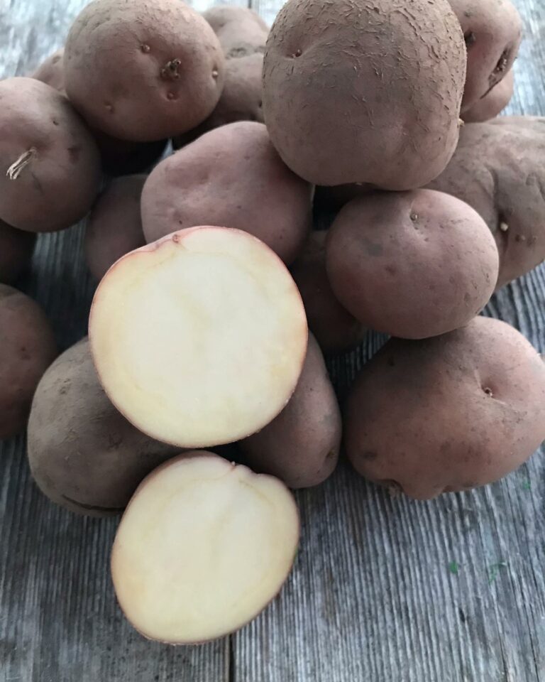 Sortguide: Mycket tidiga potatissorter - Trädgårdstrollet