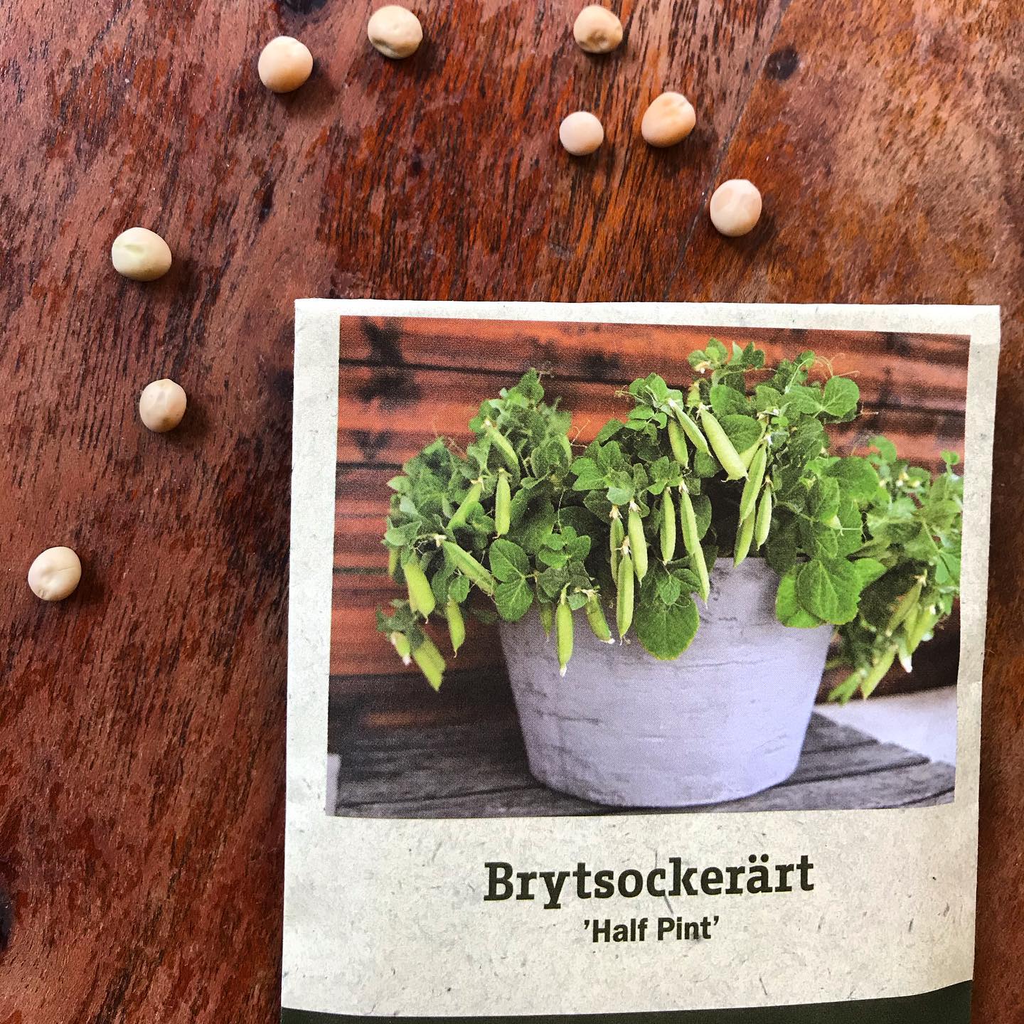 Sortguide: Sockerärter - Trädgårdstrollet