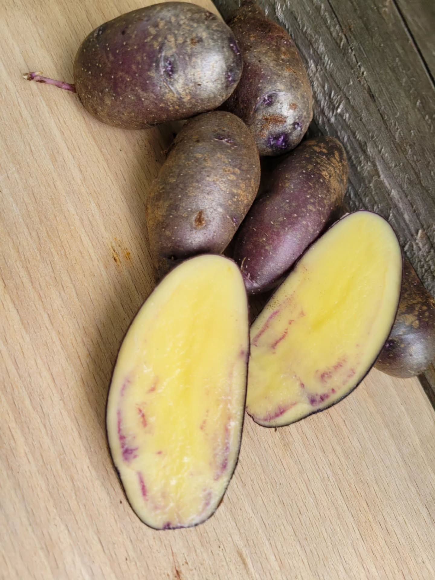 Sortguide: Blå & lila potatis - Trädgårdstrollet