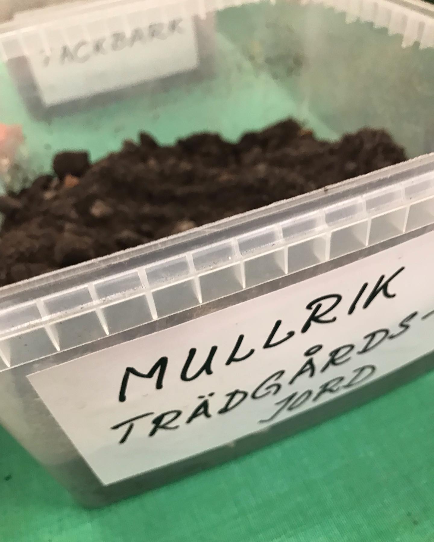 Poddavsnitt 33: Om jord - Trädgårdstrollet