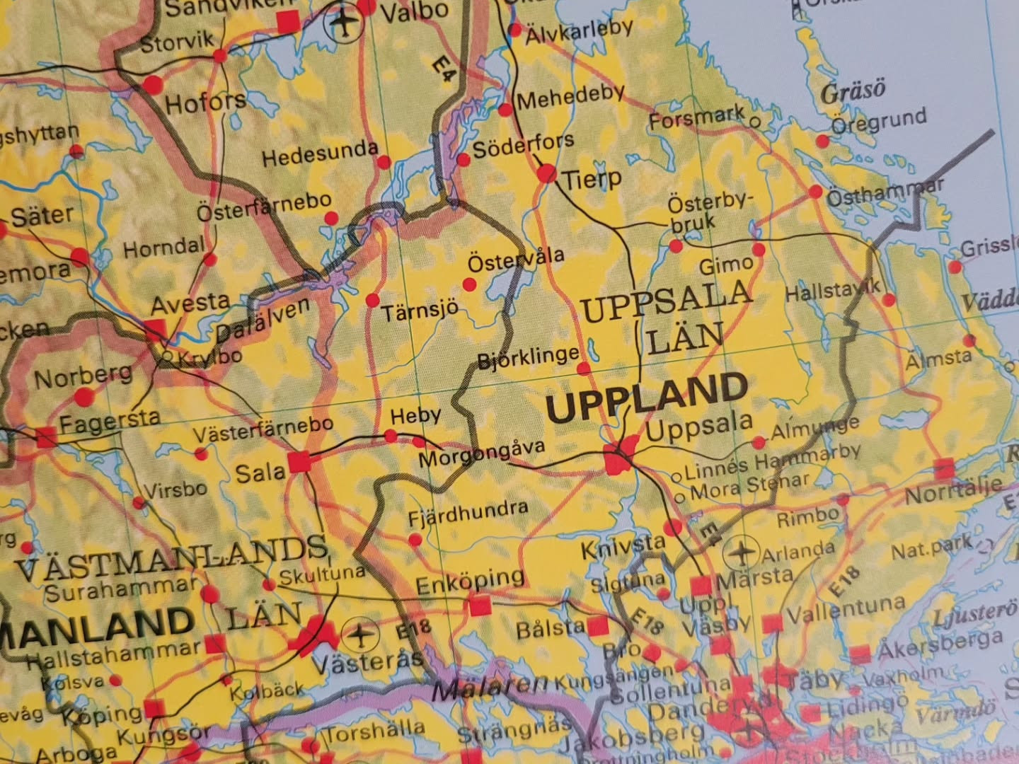 Upplands lokalsorter - Trädgårdstrollet