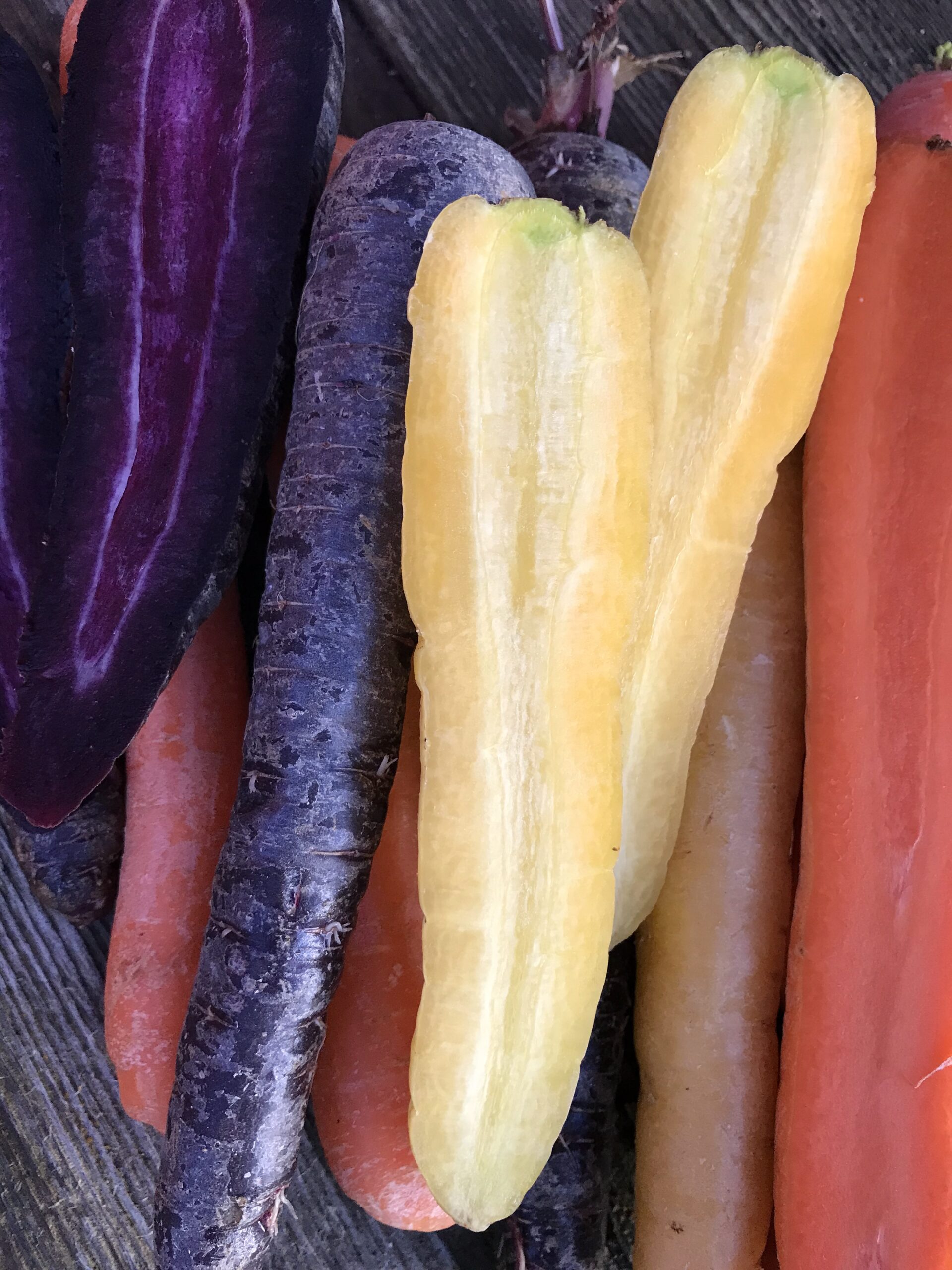 Sortguide: Sommarmorot - Trädgårdstrollet