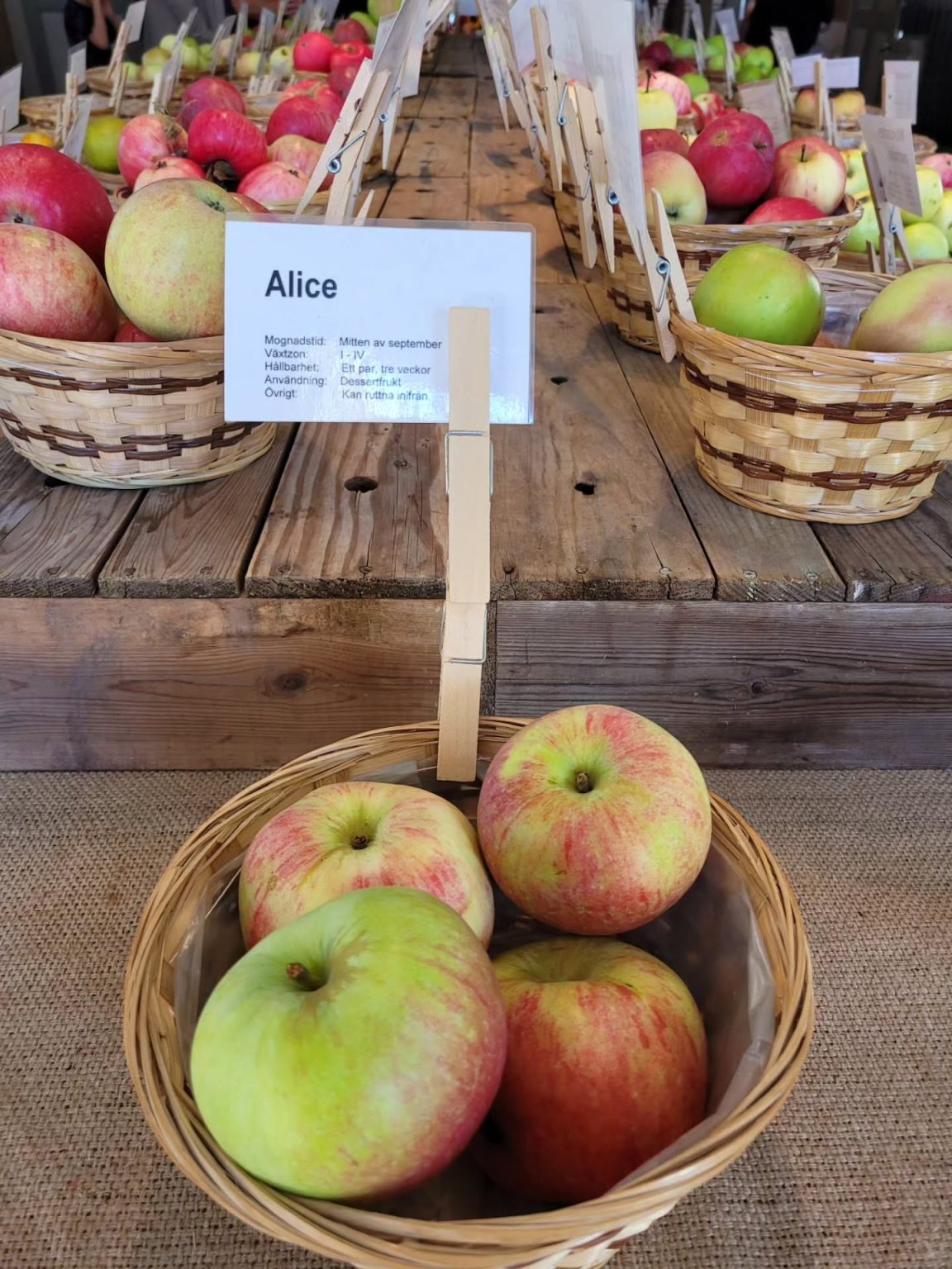 Besöker äppeldagarna på Vallby Friluftsmuseum - Trädgårdstrollet