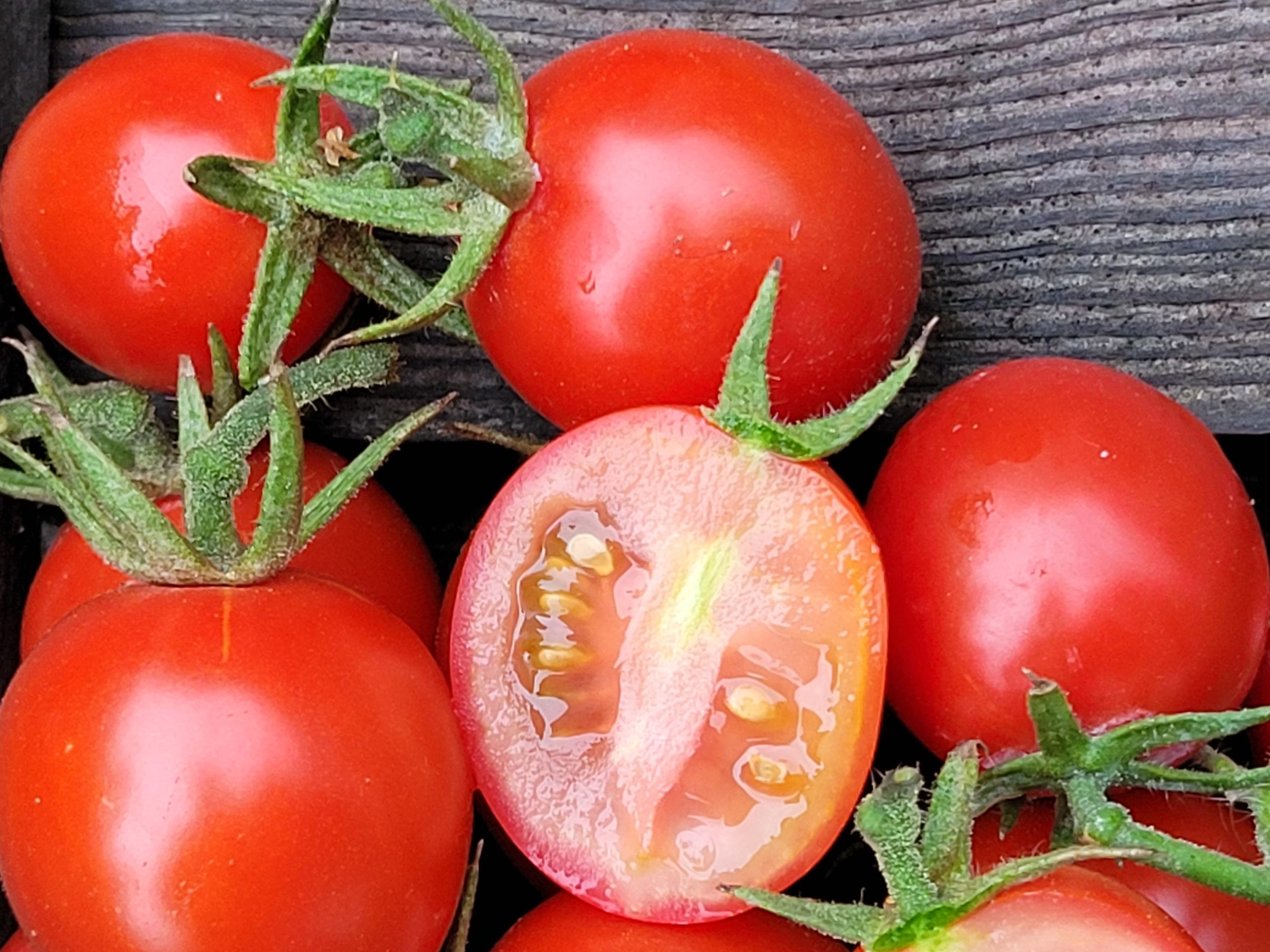 Tåliga tomaten Irishka - Trädgårdstrollet